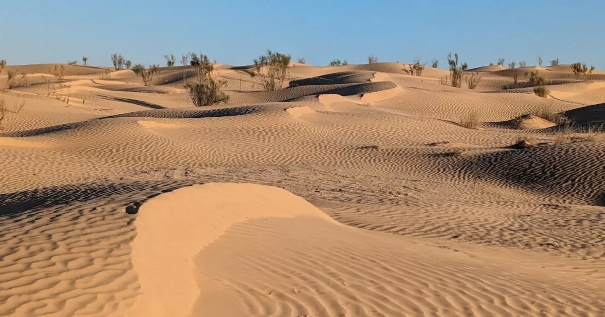 Tunisia Spiritual Tour: Sahara & History | Amy Pattee Colvin